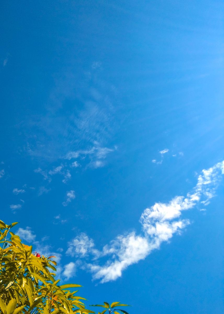 'Blue sky' Poster, picture, metal print, paint by Ryan | Displate