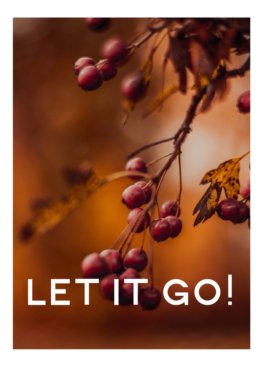 'let it go' Poster by BURRY Nature Photos | Displate