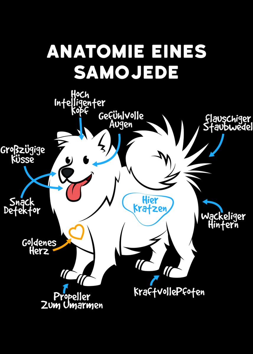 'Anatomy Of A Samoyed' Poster, picture, metal print, paint by ShirTom ...