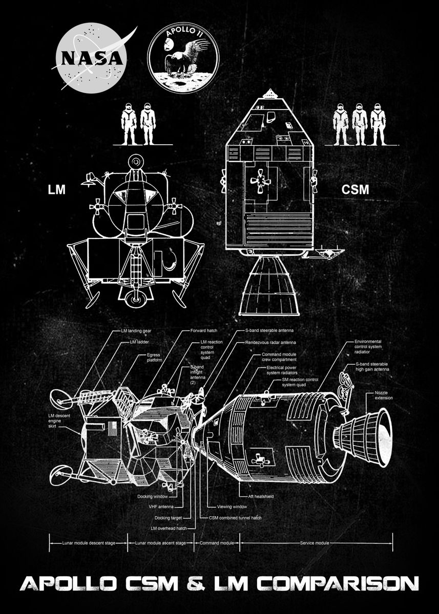 'APOLLO CSM LM COMPARISON' Poster, picture, metal print, paint by JAT ...