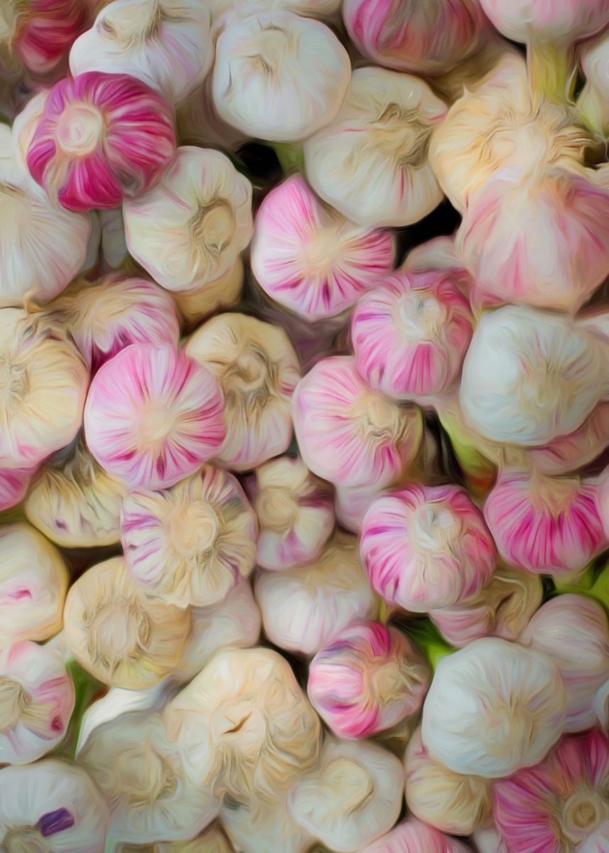 'Garlic' Poster, picture, metal print, paint by Armstrong | Displate