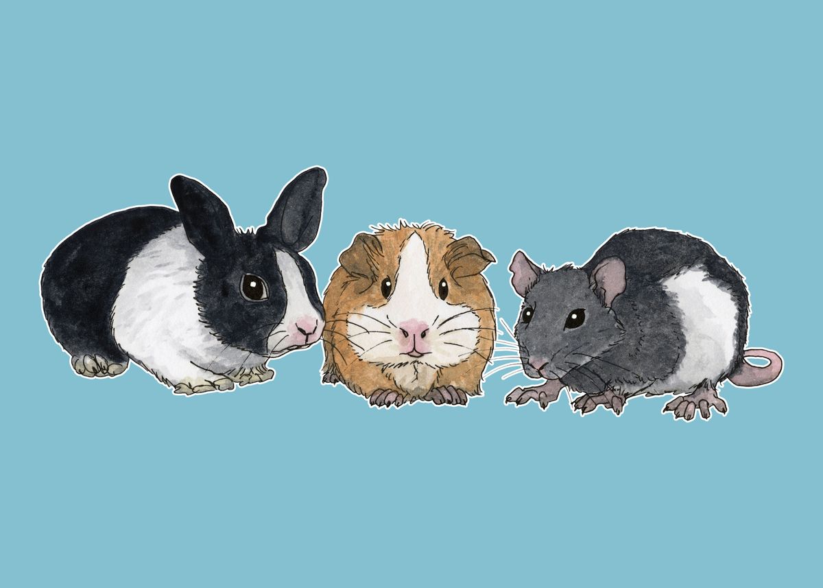 'Rodents friends' Poster by Savousépate | Displate