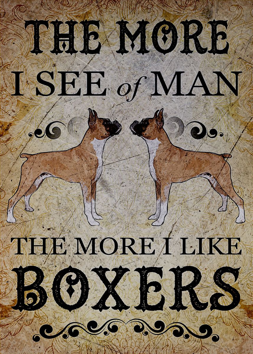 'Boxer' Poster, picture, metal print, paint by Nick Cournoyer | Displate