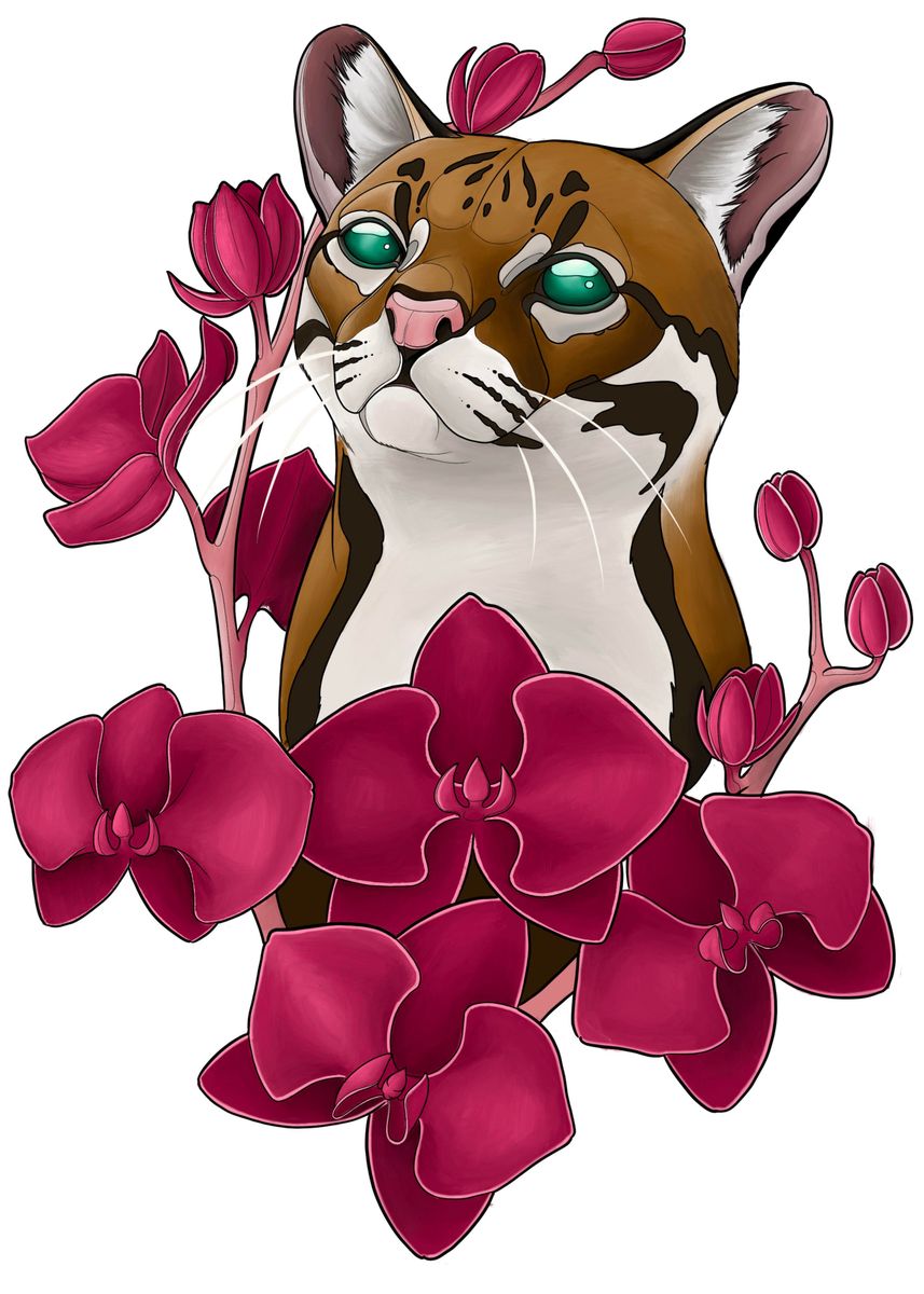 'Ocelot and Orchids' Poster, picture, metal print, paint by Ebony-Joy ...
