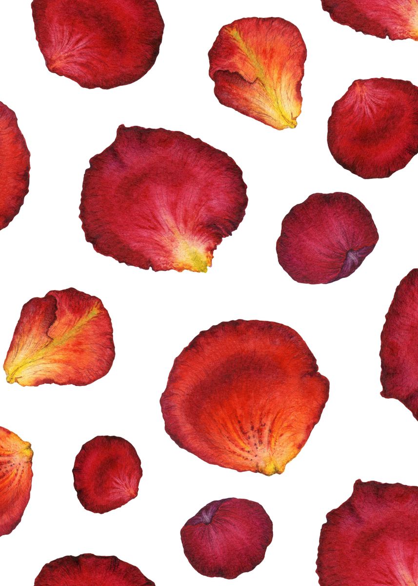 'Rose Petal Pattern 03' Poster, picture, metal print, paint by Aloke ...