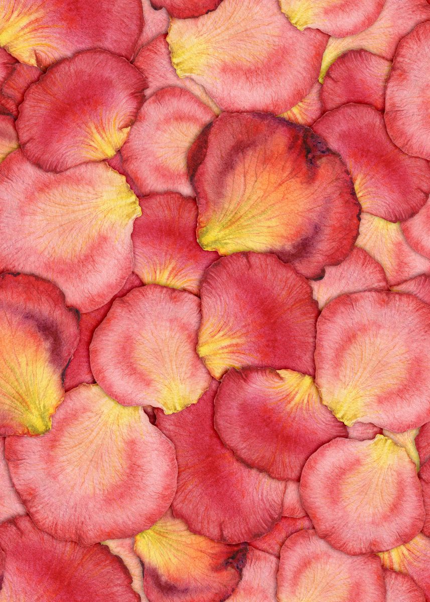 'Pink Rose Petal Pattern' Poster, picture, metal print, paint by Aloke ...