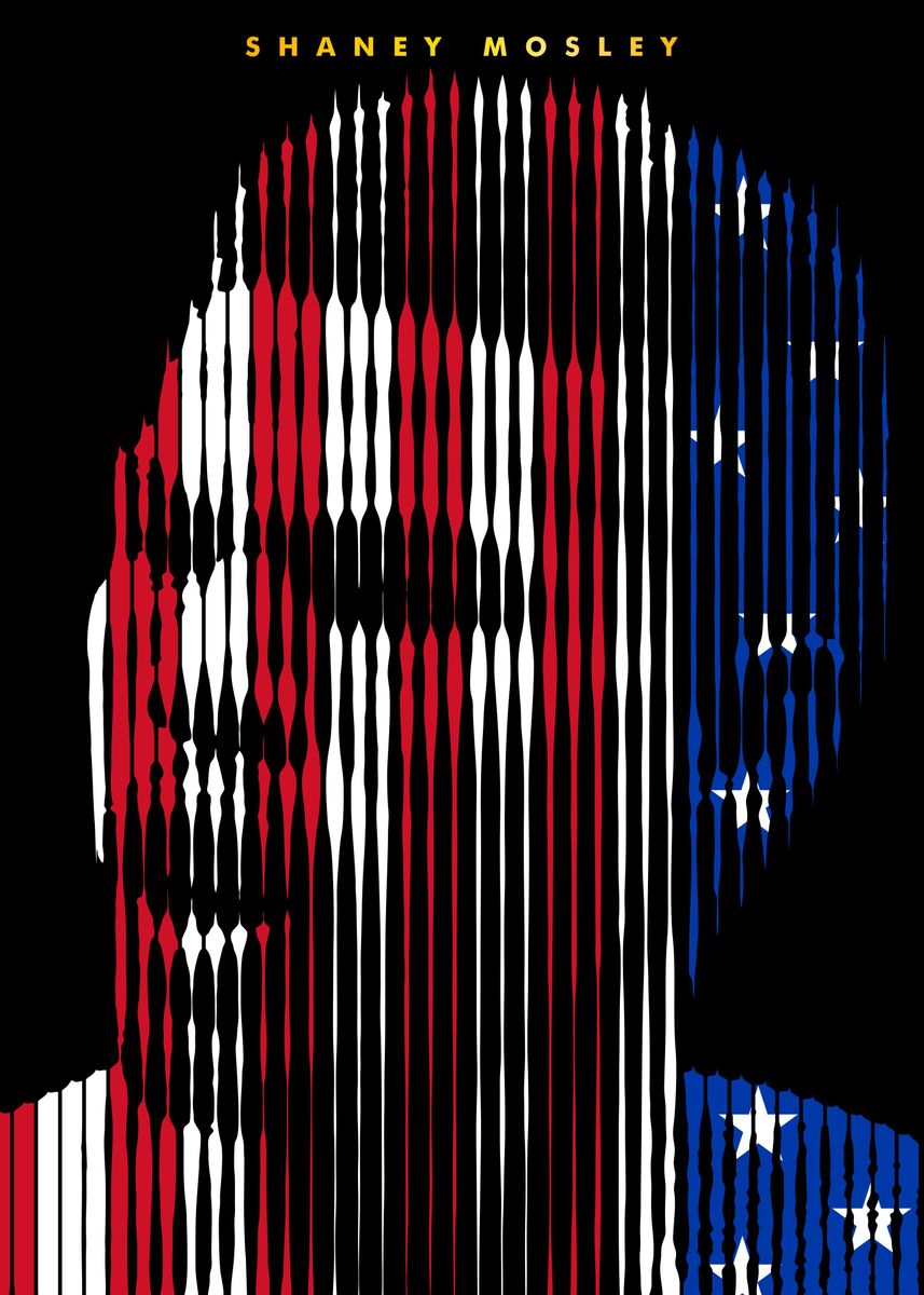 'Shaney Mosley' Poster, picture, metal print, paint by Yusuf Dedi ...