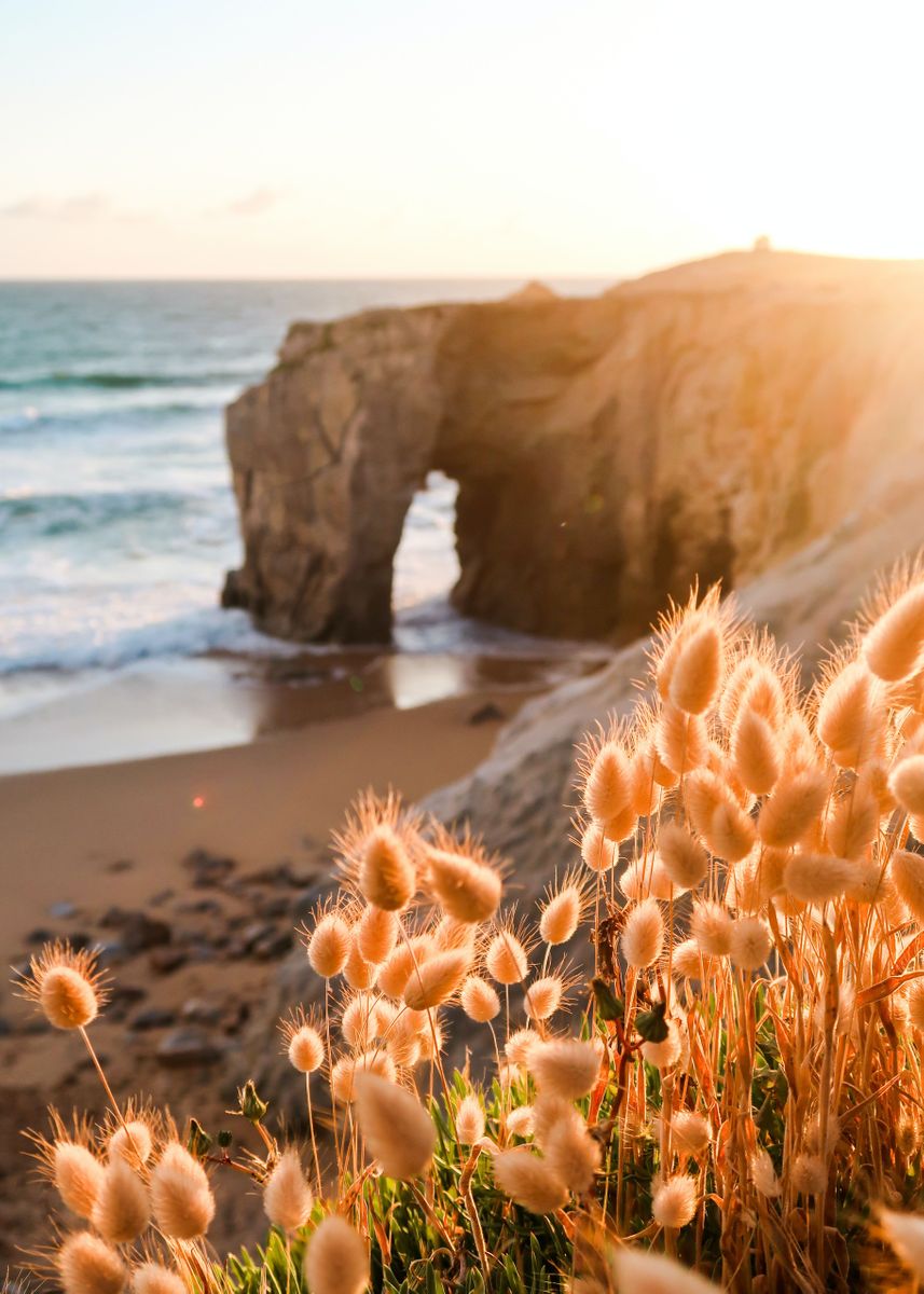 'Ocean View' Poster, picture, metal print, paint by Earth Nation | Displate