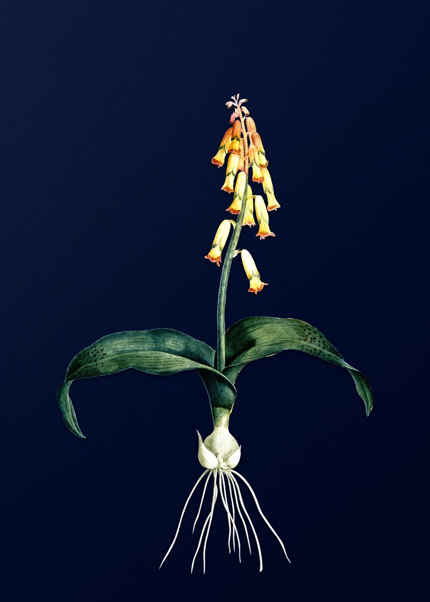 'Vintage Floral Deep Blue' Poster by Holy Rock Design | Displate