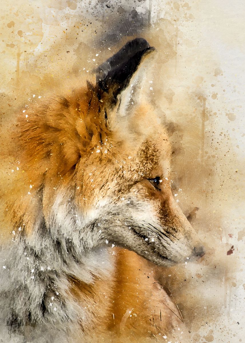 'Fox' Poster, picture, metal print, paint by Petra Rommelfanger | Displate