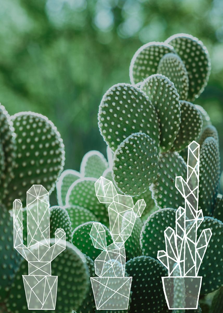 'Green succulent' Poster by JMdrawings | Displate