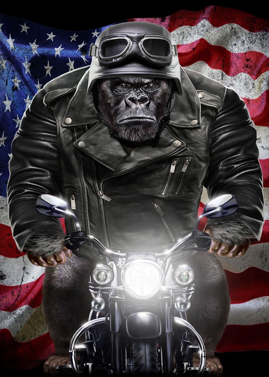 'Gorilla Riding Motorcycle' Poster, picture, metal print, paint by Jeff ...