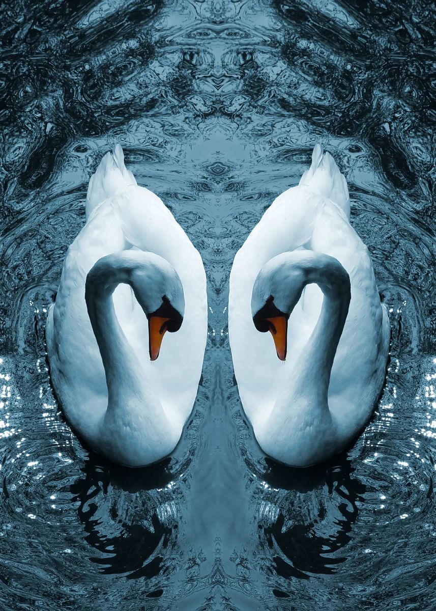 'Swan Mirror' Poster, picture, metal print, paint by Fractal22 | Displate