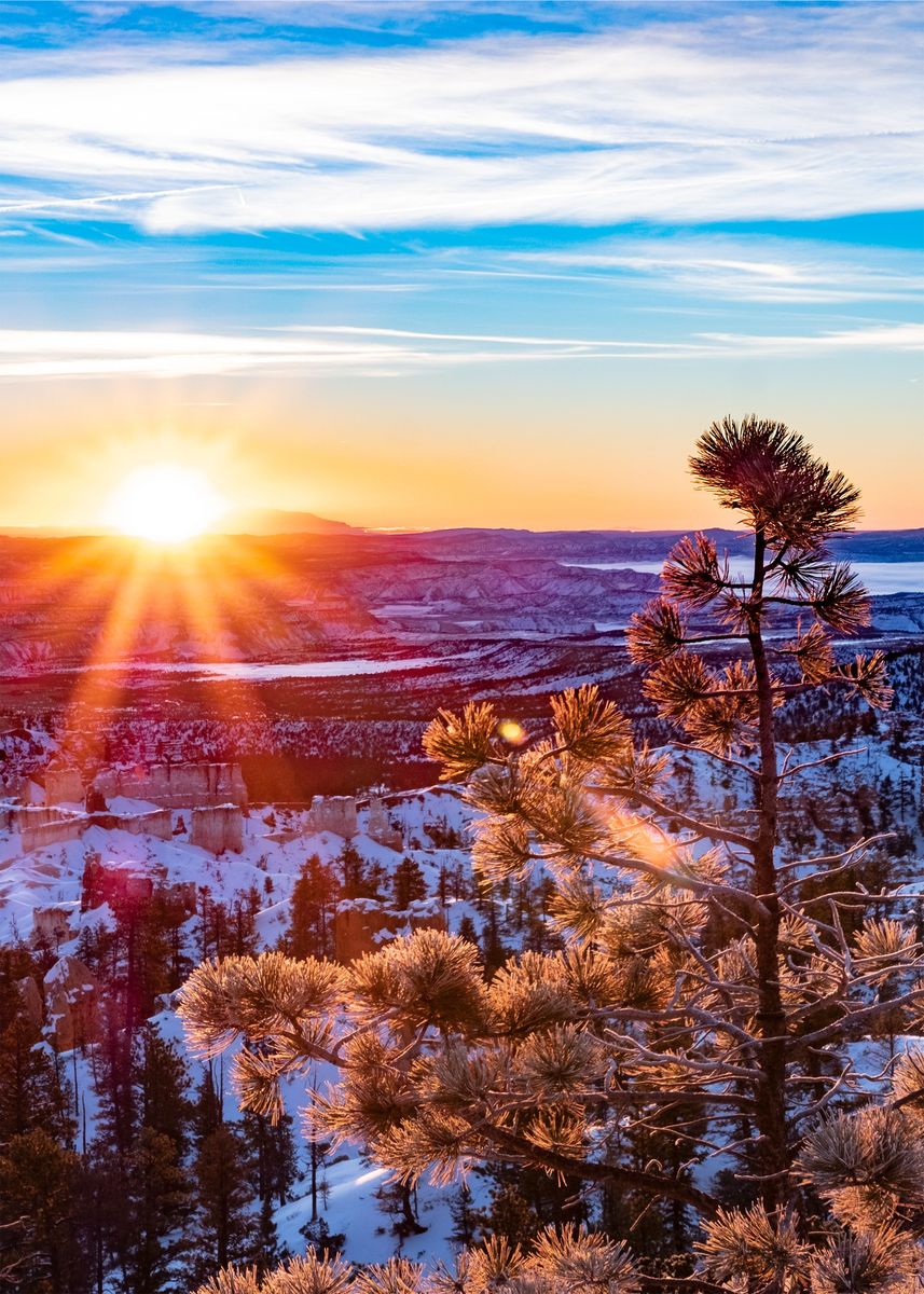 'Winter Daybreak' Poster, picture, metal print, paint by Pete Chen ...