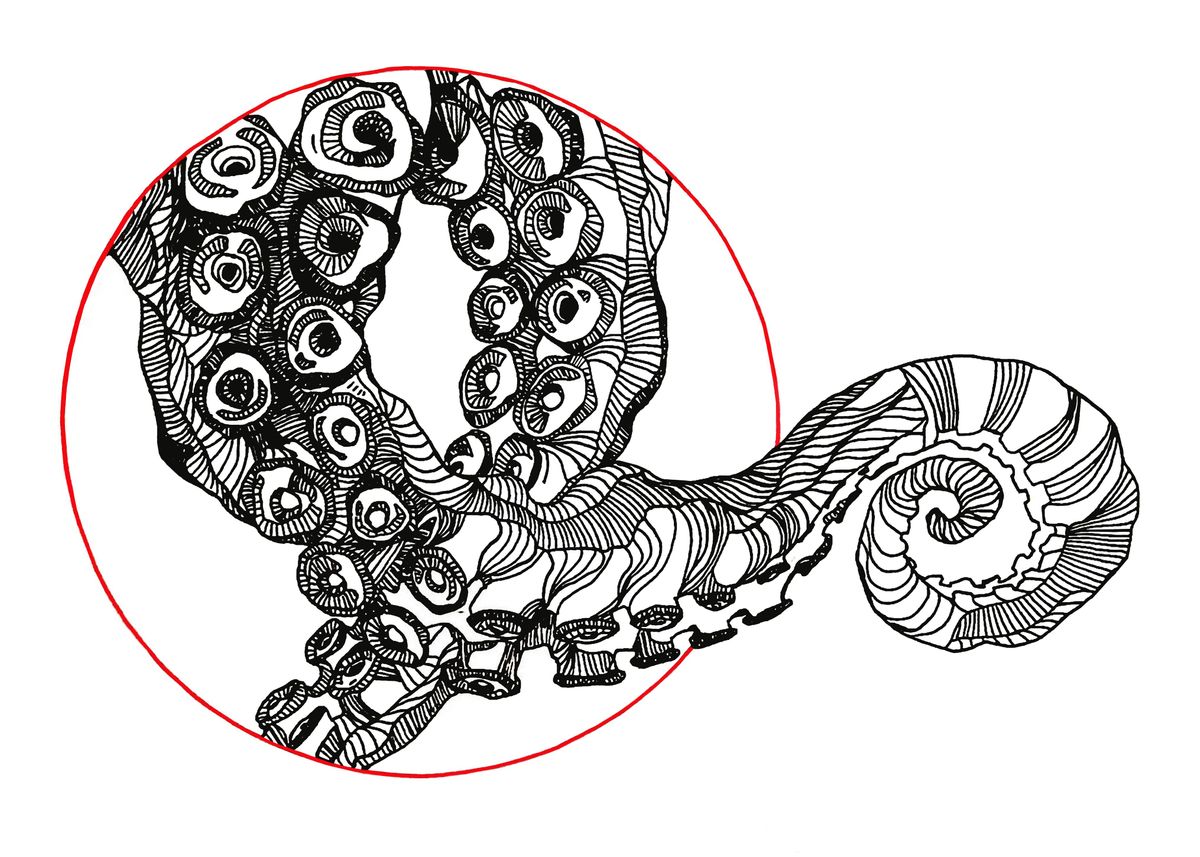 'Cross the Red Line' Poster by PWart | Displate