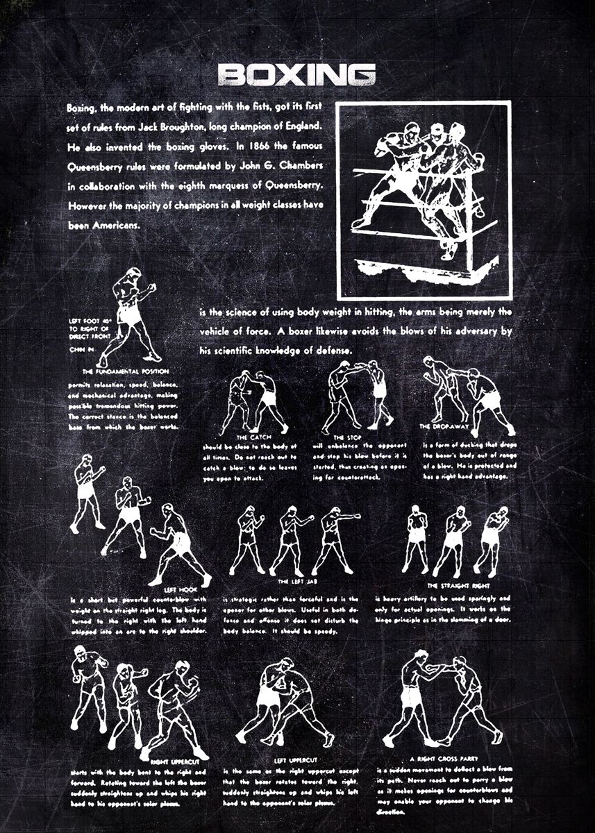 'BOXING' Poster, picture, metal print, paint by MAXART DESIGN | Displate