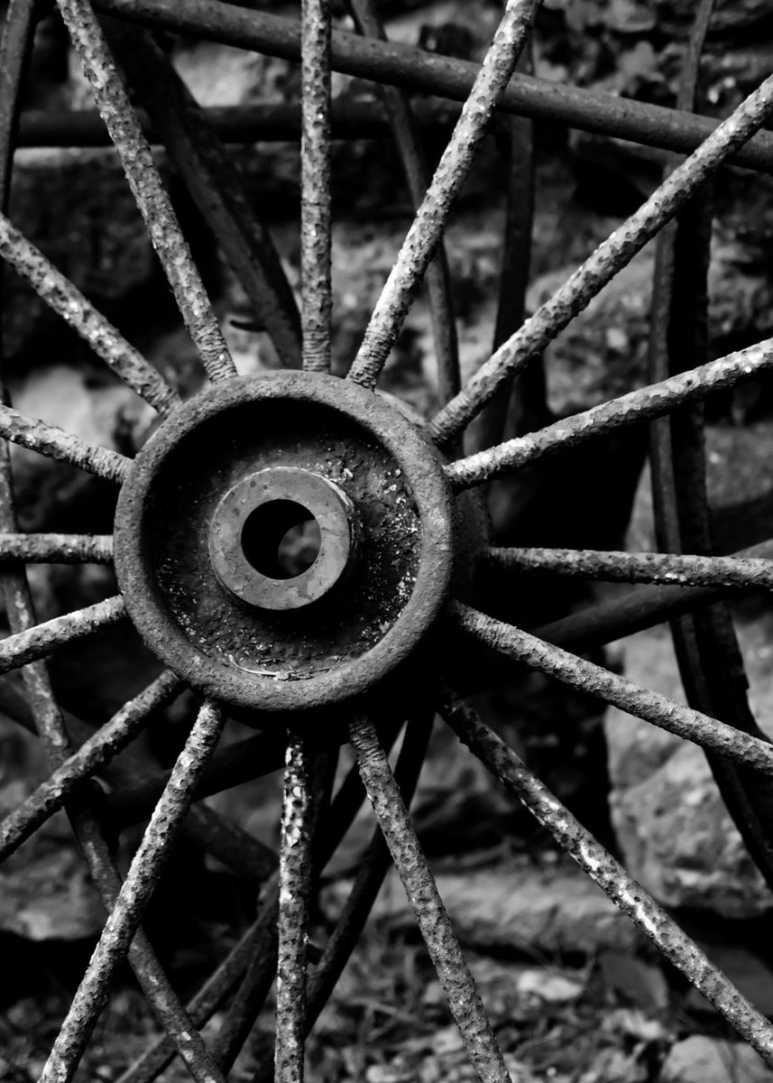 'Black and White Cartwheel' Poster, picture, metal print, paint by ...