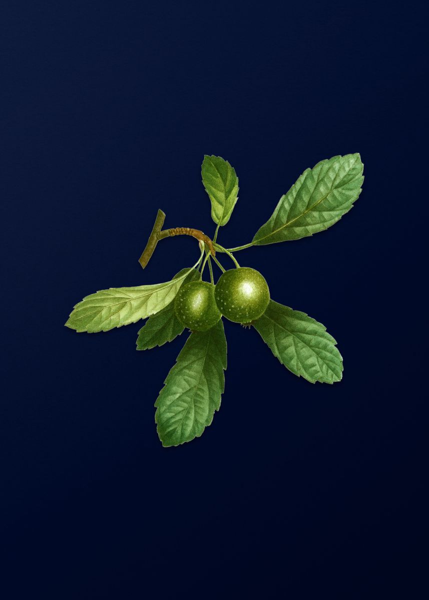 'Vintage Flower Deep Blue' Poster, picture, metal print, paint by Holy ...