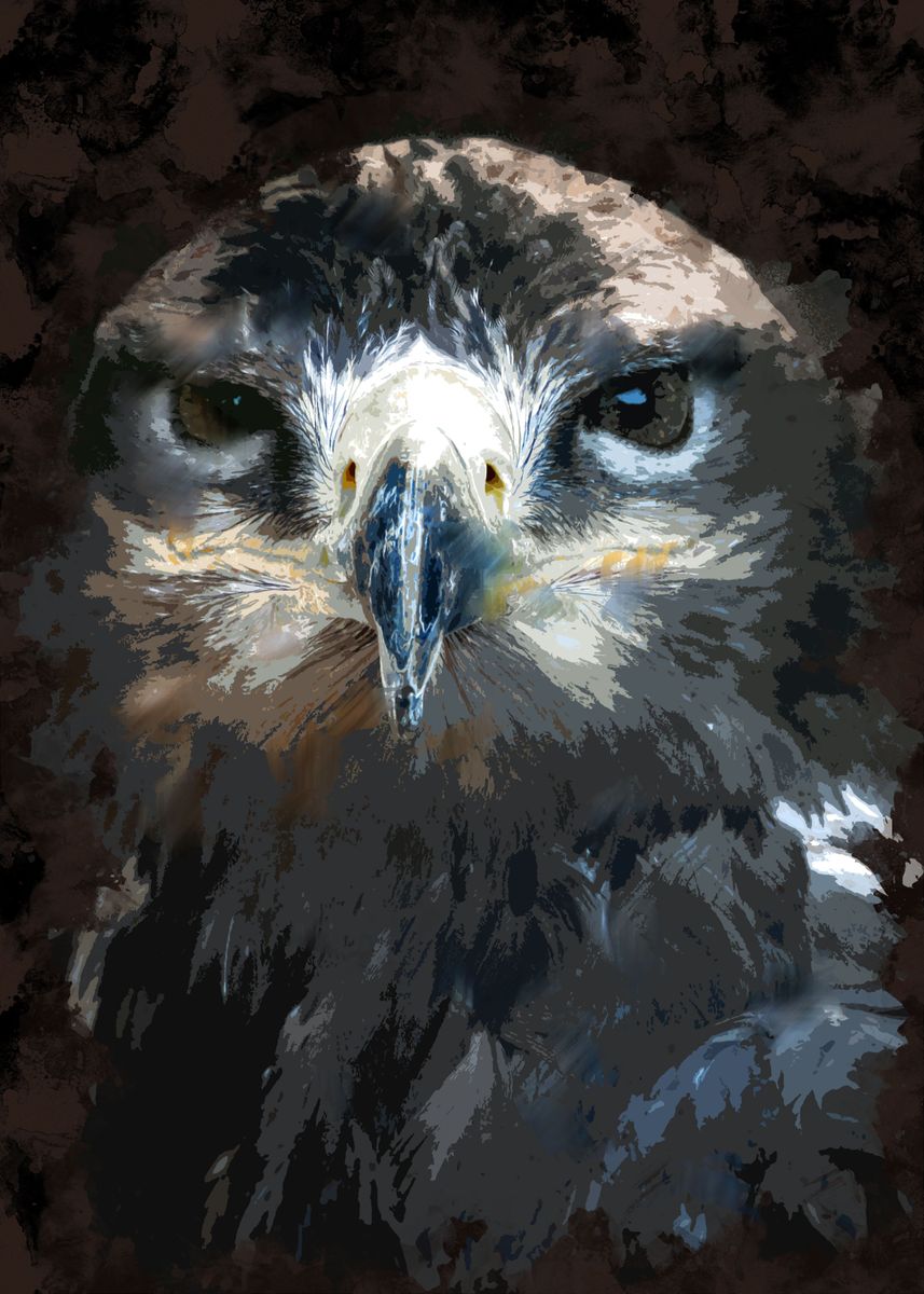 'Lesser spotted eagle' Poster, picture, metal print, paint by Petra ...