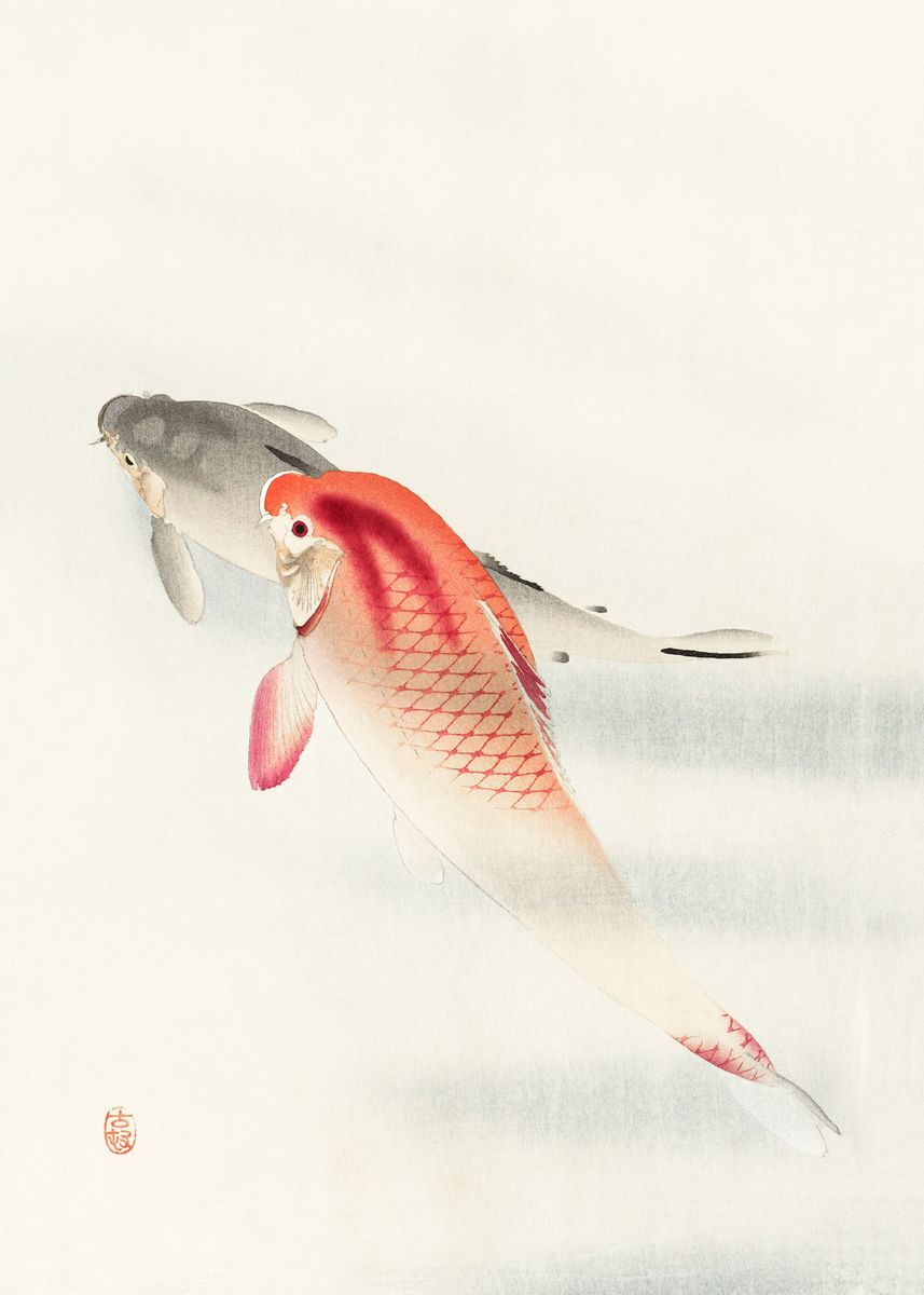 'Two carp' Poster, picture, metal print, paint by tony4urban | Displate