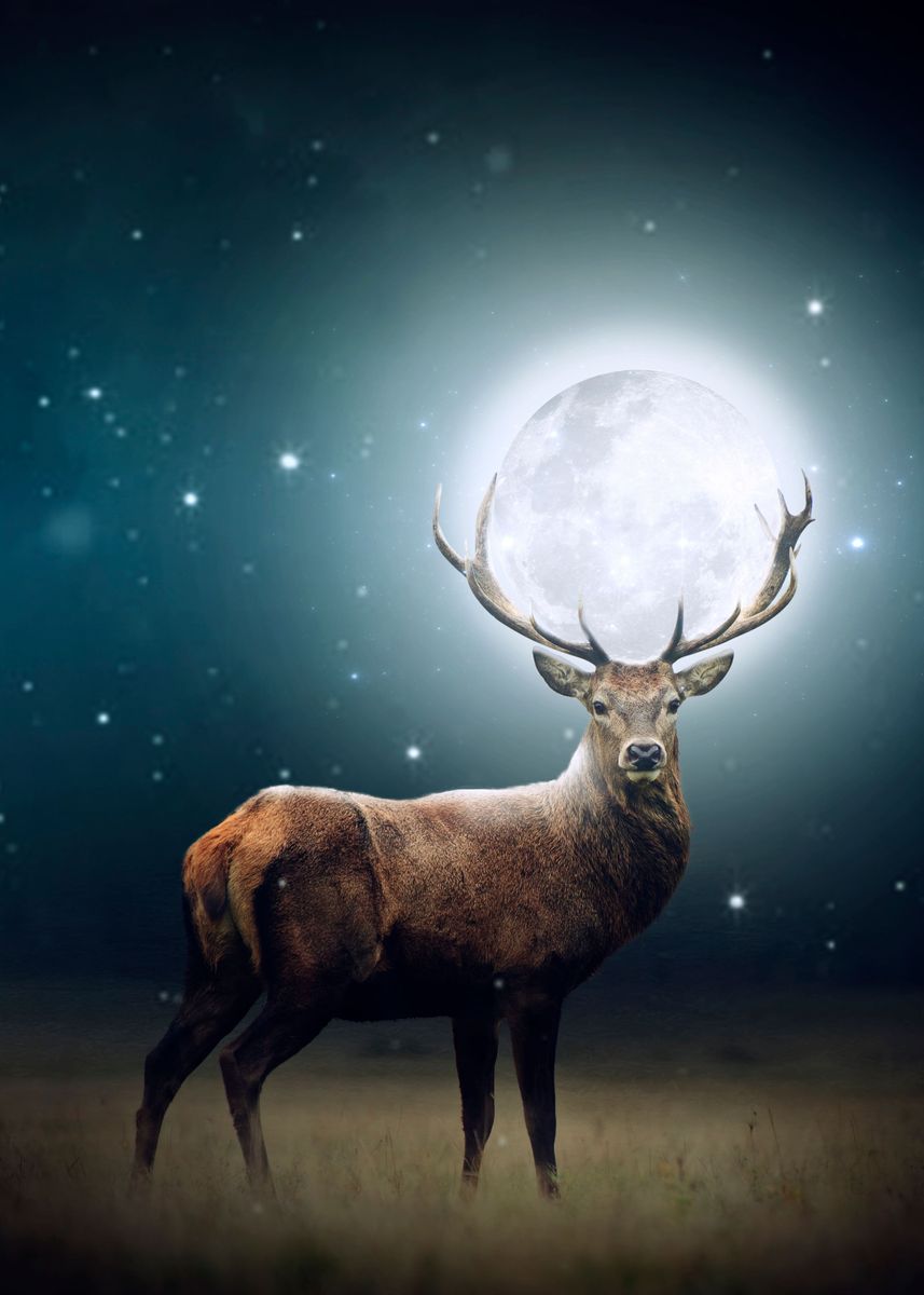 'Deer With Moon' Poster, picture, metal print, paint by Renjith Asokan ...