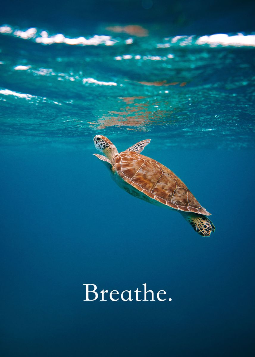 'Breathe' Poster, picture, metal print, paint by Klemen Kreate | Displate