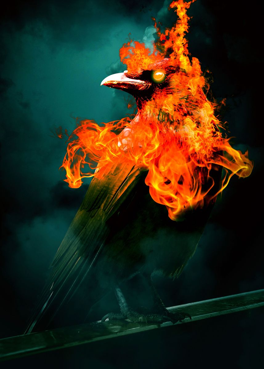 'Fire Crow' Poster, picture, metal print, paint by Renjith Asokan ...