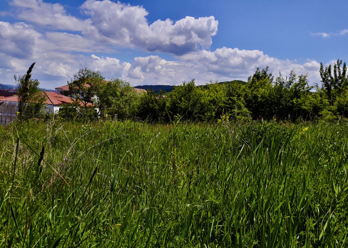 'Grass level viewpoint' Poster by Edy Art Space | Displate