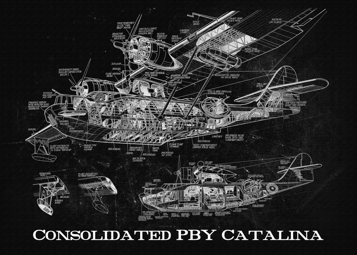 'Consolidated PBY Catalina' Poster by JAT DESIGNS | Displate