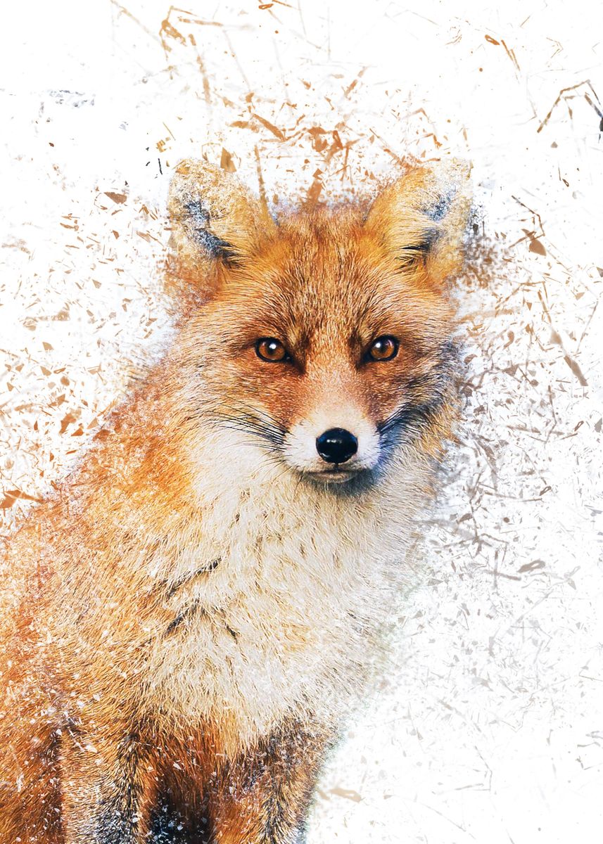'Shattered Fox' Poster by Sean Drummond | Displate