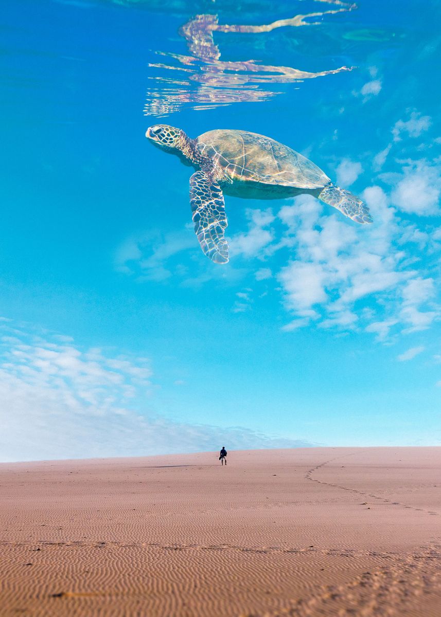 'Turtle In The Sky' Poster by EmilioRiosDesigns | Displate