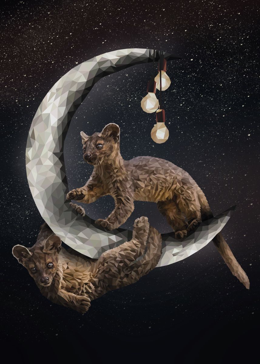 'Fossa' Poster by Verena Tapper | Displate