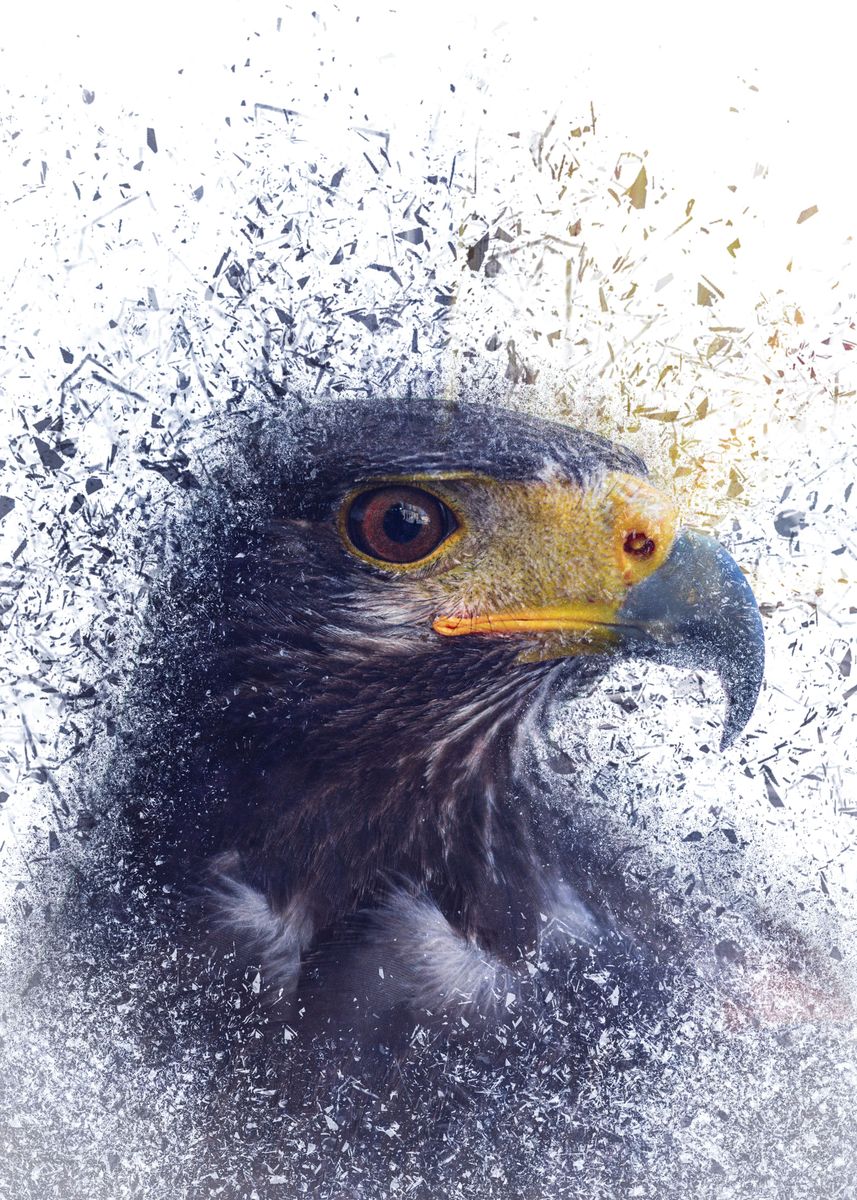 'Shattered Eagle' Poster, picture, metal print, paint by Sean Drummond ...
