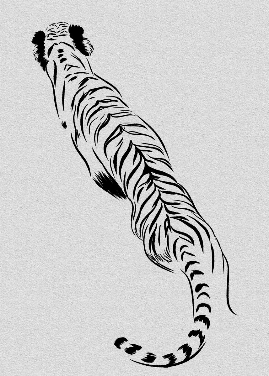 'Tiger lines' Poster, picture, metal print, paint by Alberto Perez ...