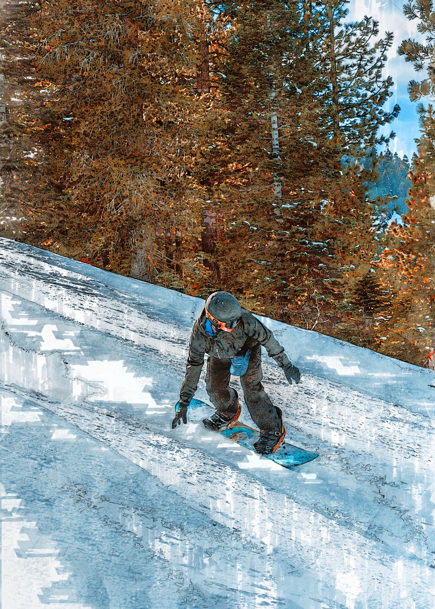 'Snowboard Pro Skills' Poster, picture, metal print, paint by Colortrix ...
