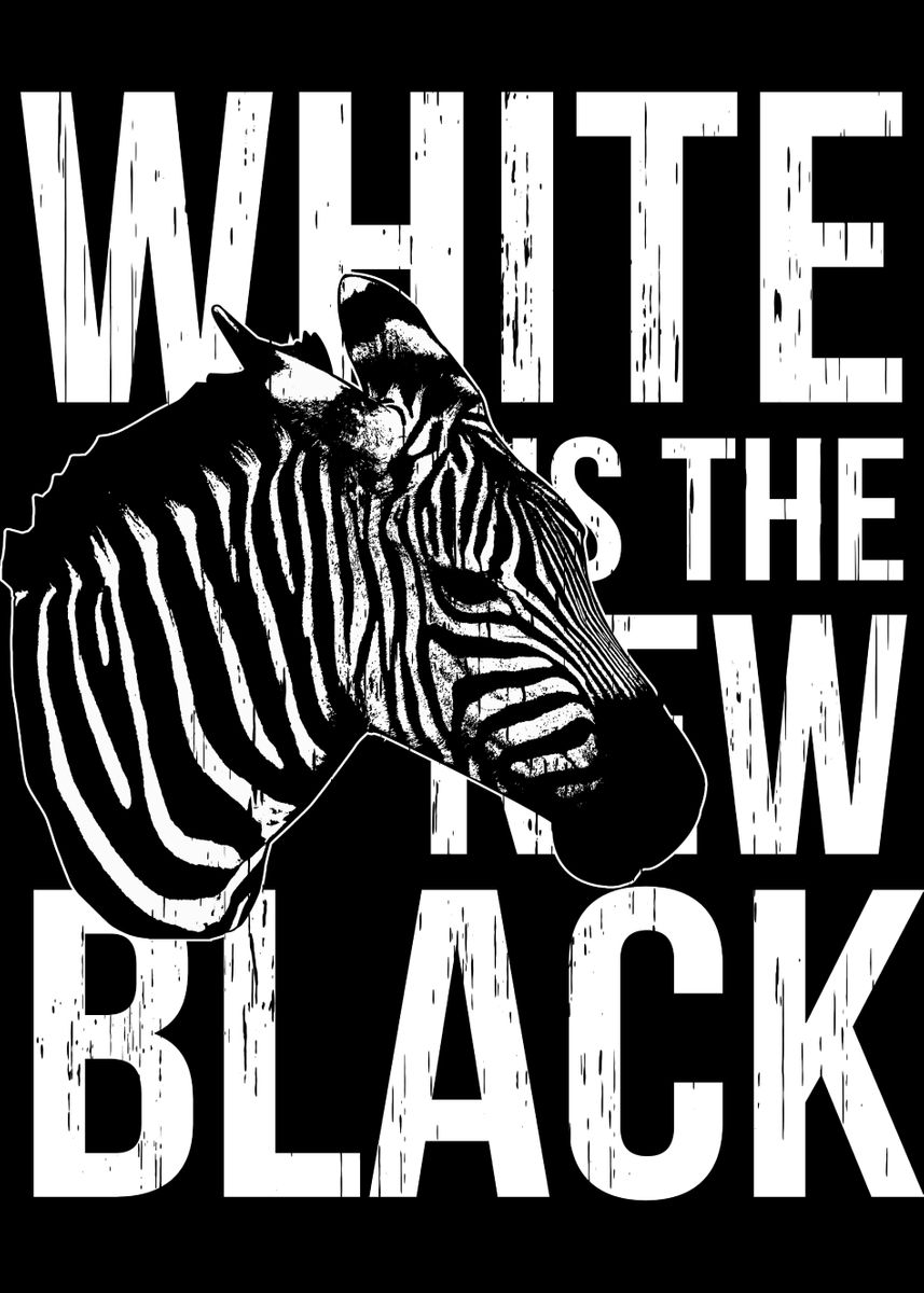 'Zebra' Poster by schmugo | Displate