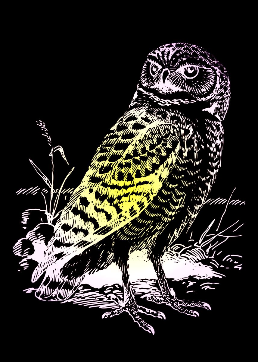 'Bird of the night' Poster, picture, metal print, paint by ANDRE MCKAY ...