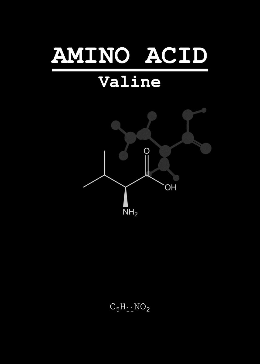 'Valine' Poster, picture, metal print, paint by ChemECool | Displate