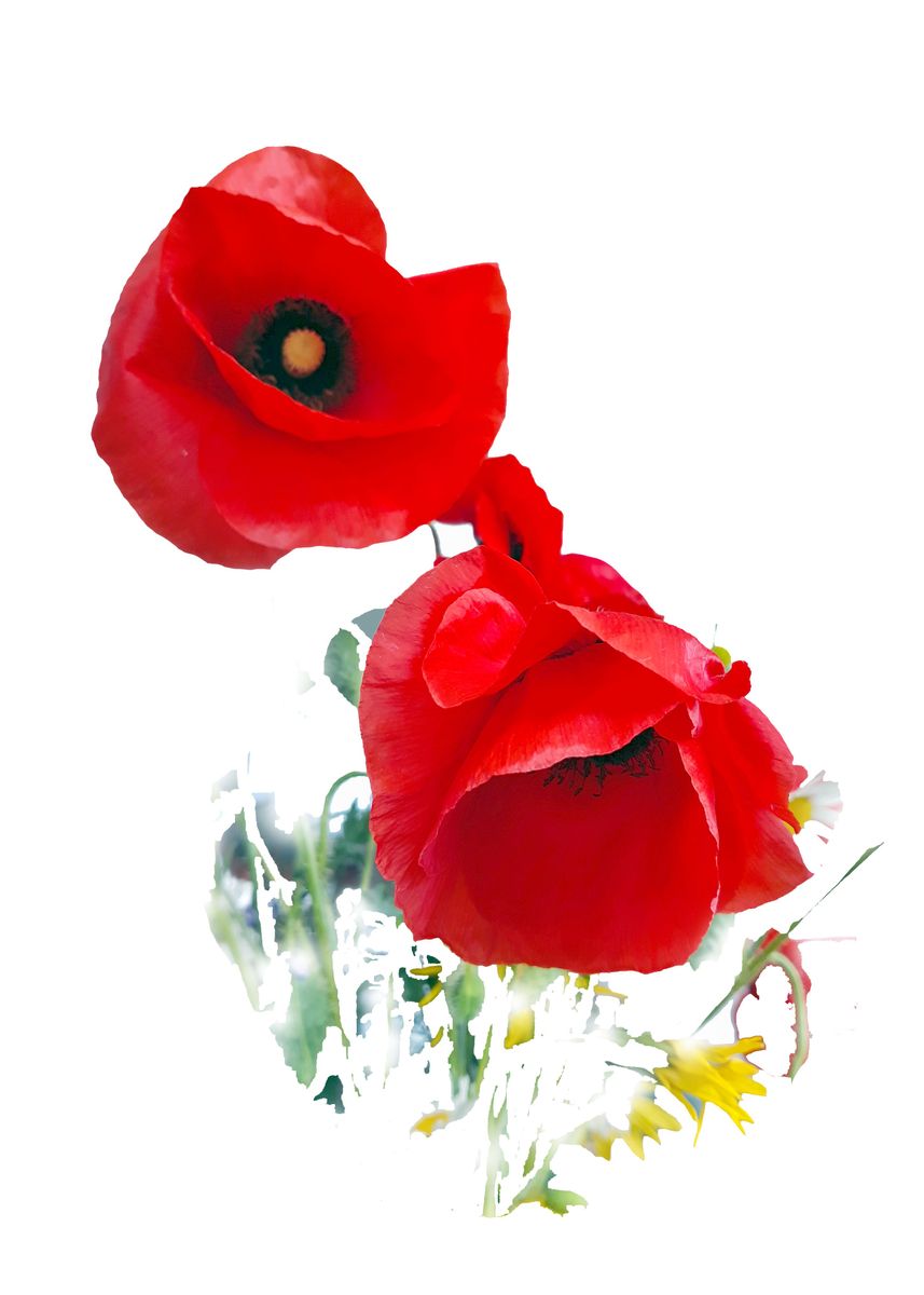 'Poppy heart' Poster by Edy Art Space | Displate