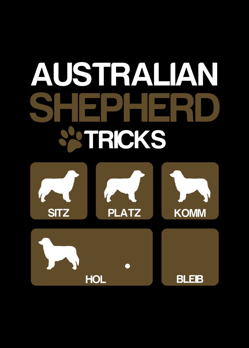 'Australian Shepherd Tricks' Poster, picture, metal print, paint by ...