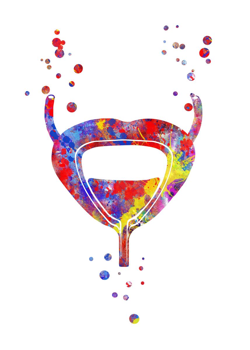 'Bladder urinary system ' Poster, picture, metal print, paint by ...