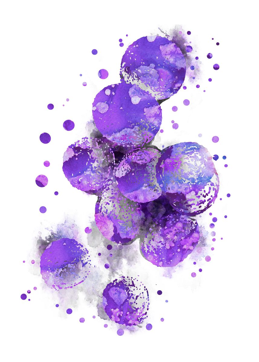 'Staphylococcus aureus' Poster, picture, metal print, paint by ...