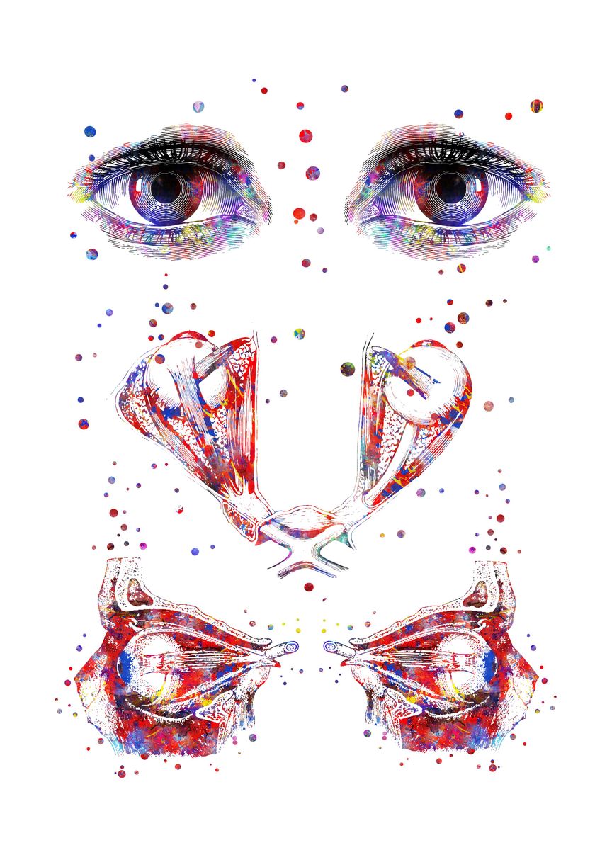 'Human eye anatomy ' Poster by RosaliasArt | Displate