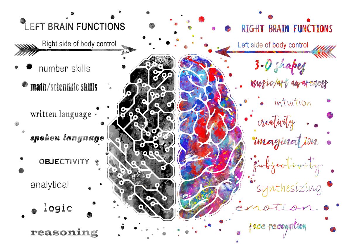 'Brain function' Poster by RosaliasArt | Displate