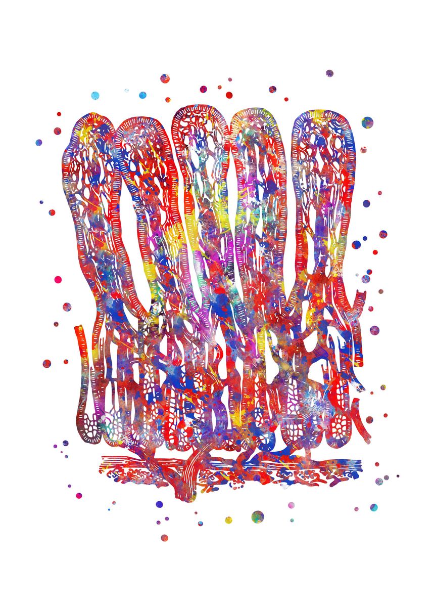 'Intestine ' Poster, picture, metal print, paint by RosaliasArt | Displate