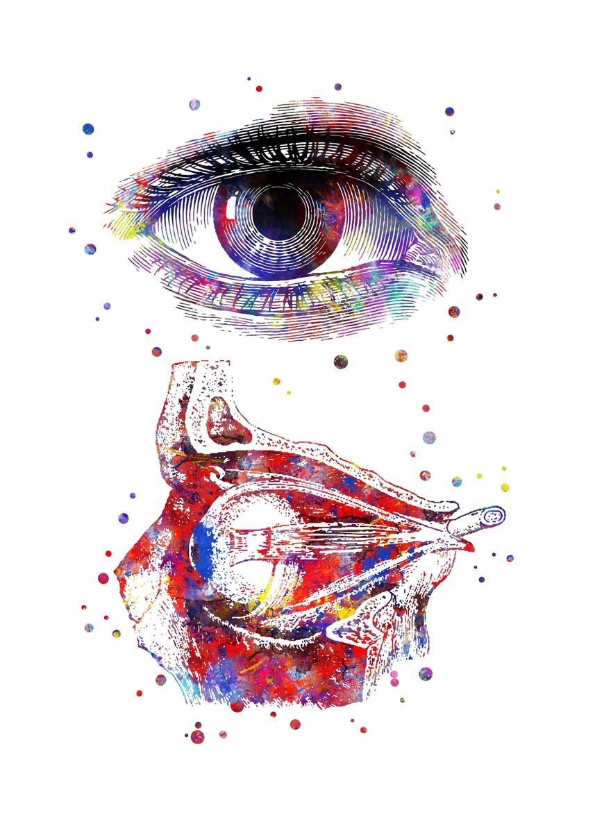 'Human eye anatomy ' Poster, picture, metal print, paint by RosaliasArt ...