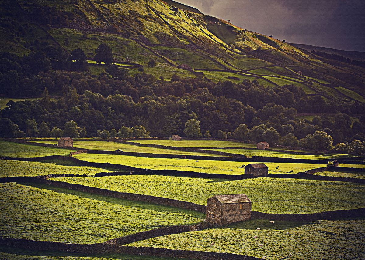 'Lanscape ' Poster by Eric fkm | Displate