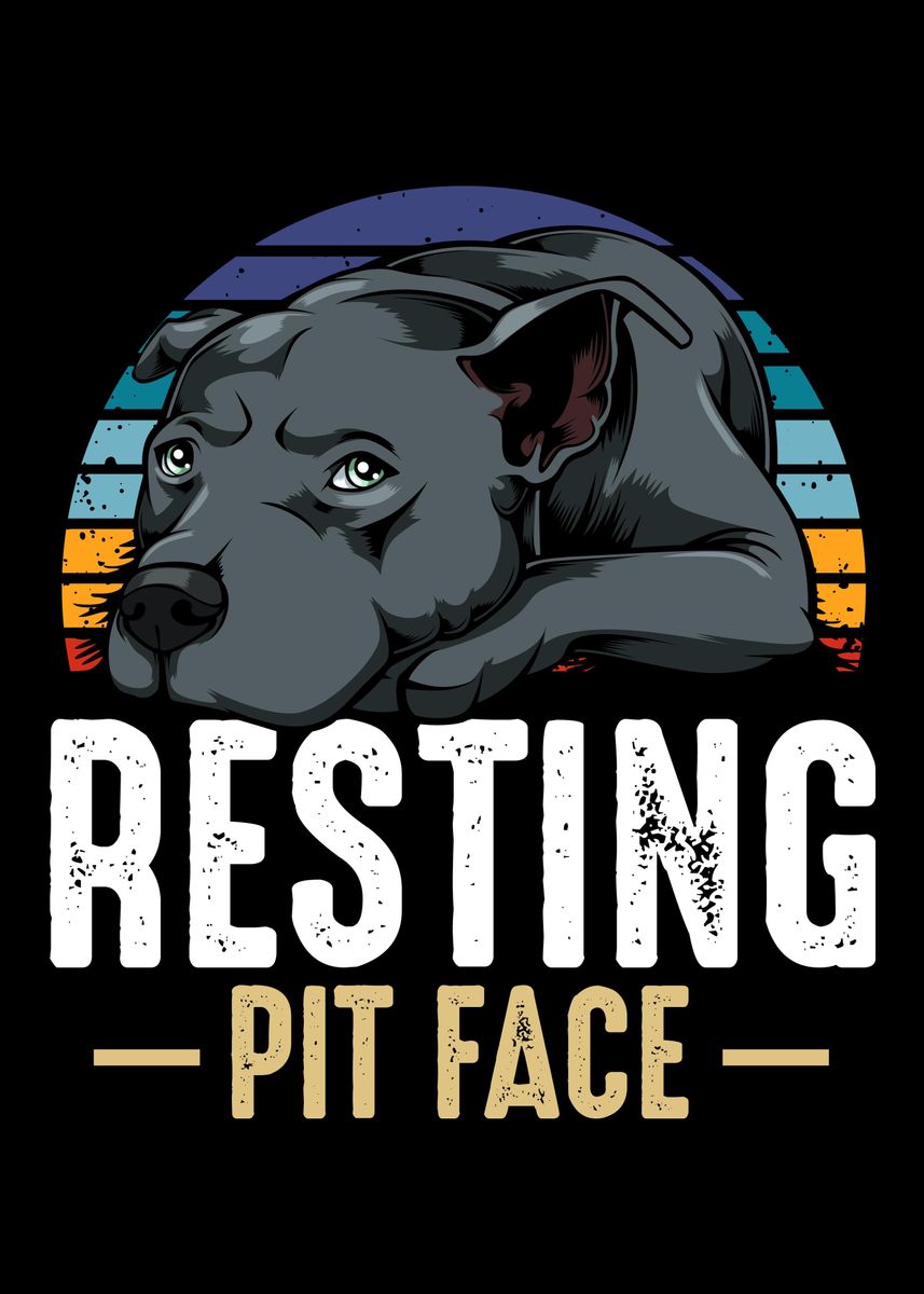 'Resting Pit Face Pitbull D' Poster, picture, metal print, paint by ...