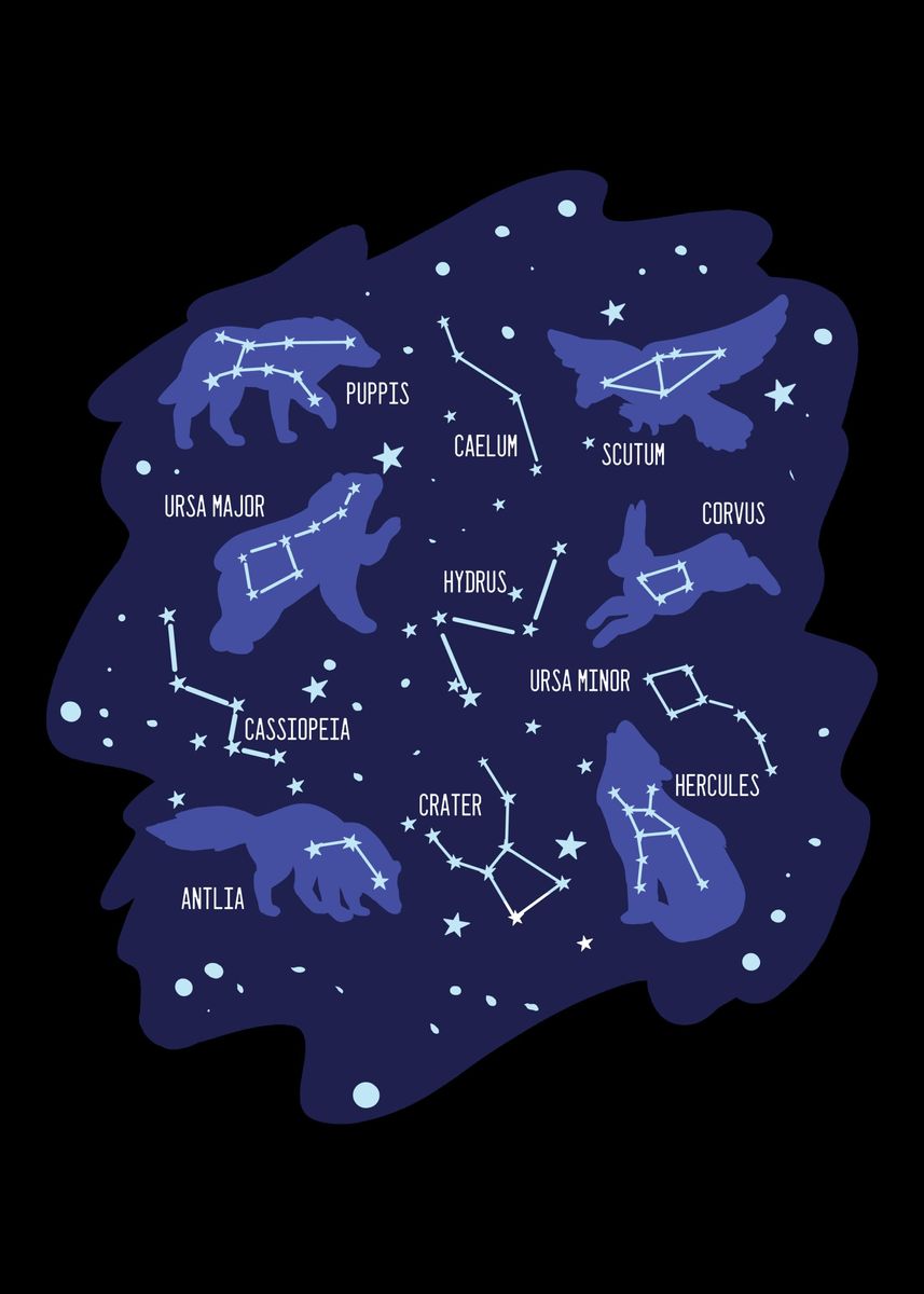 'Constellation Animals Astr' Poster, picture, metal print, paint by ...