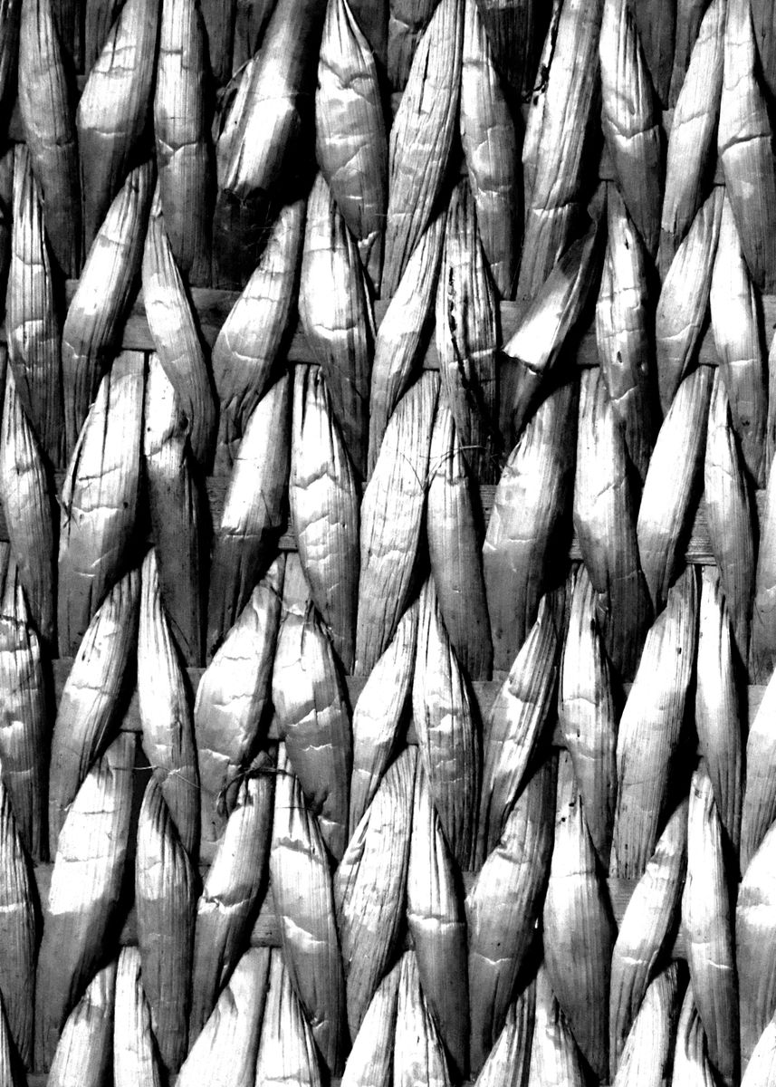 'Black and White Weave' Poster, picture, metal print, paint by ...